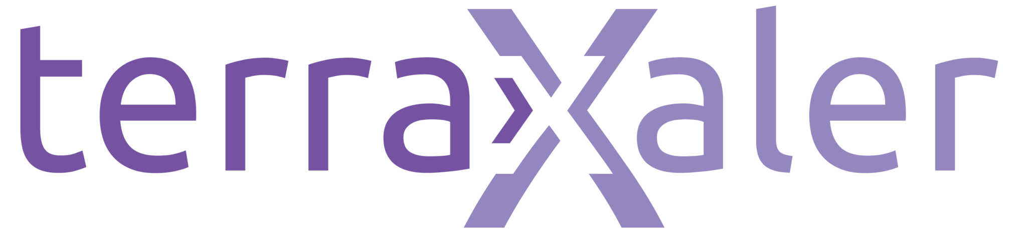 Wie funktioniert der TerraXaler Server » TerraXaler